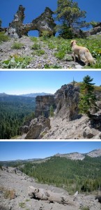 Razorback Ridge | OnTheSummit